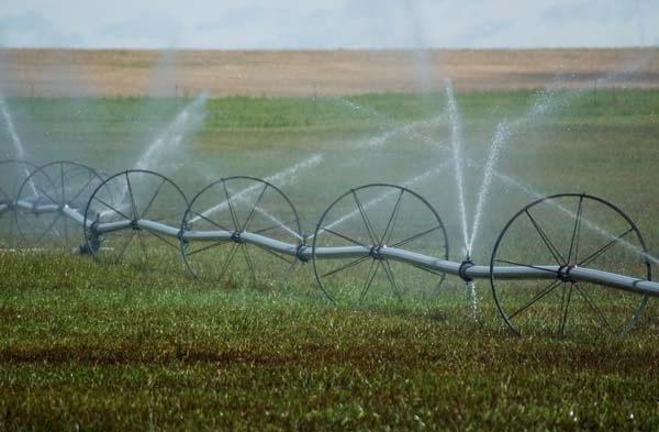 Open Ediiton/Open Edition Landscapes/Pivot-IrrigationH